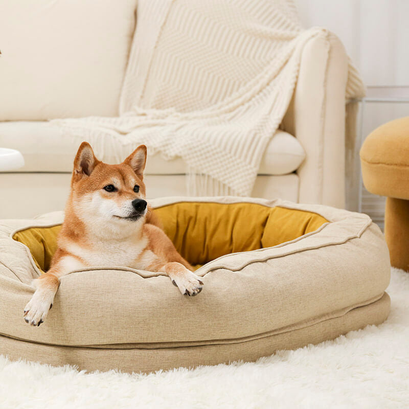 Online Pet Store for Dog Supplies – HENSIS